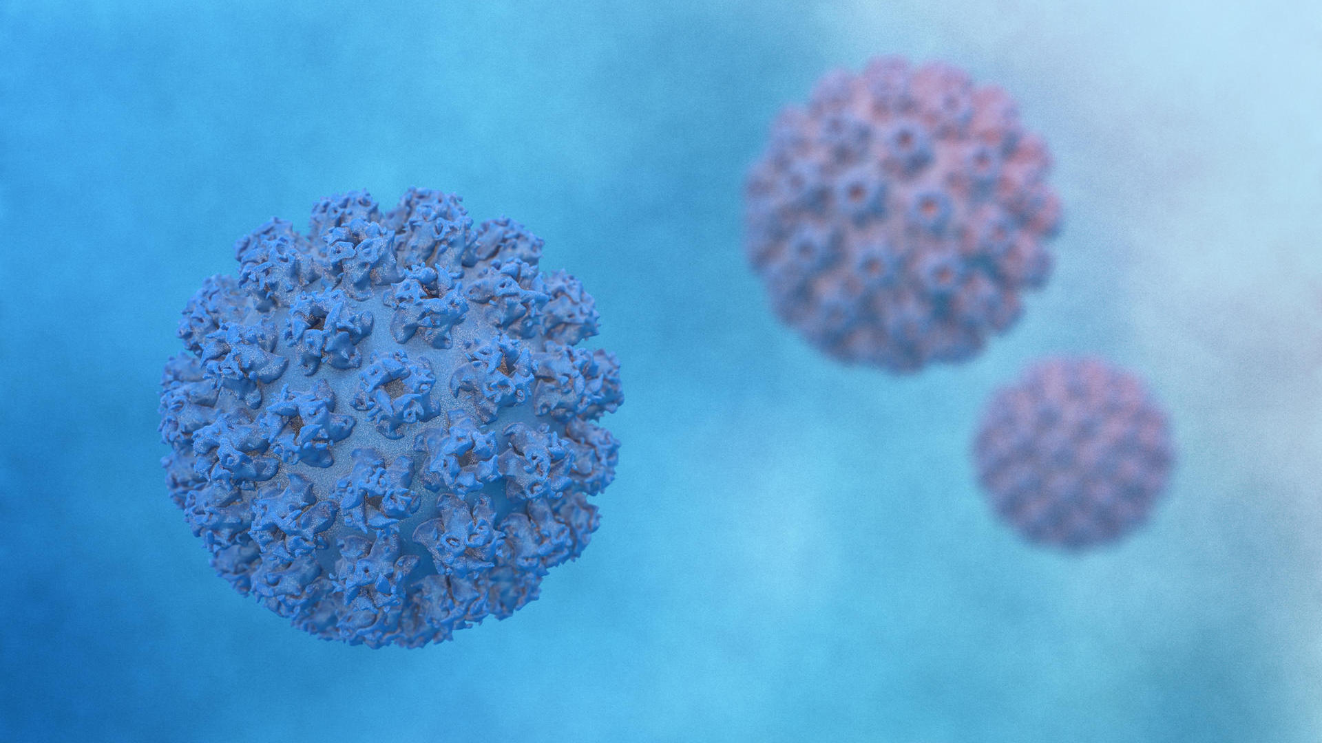 HPV and cancer: how it works